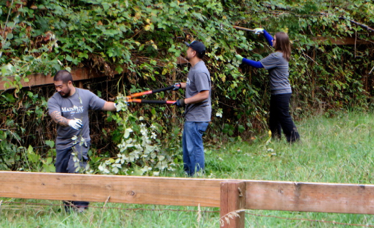 The MainVue Difference | Washington New Home Builder