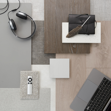 MainVue Color Schemes - Professional Palette. Charismatic Color